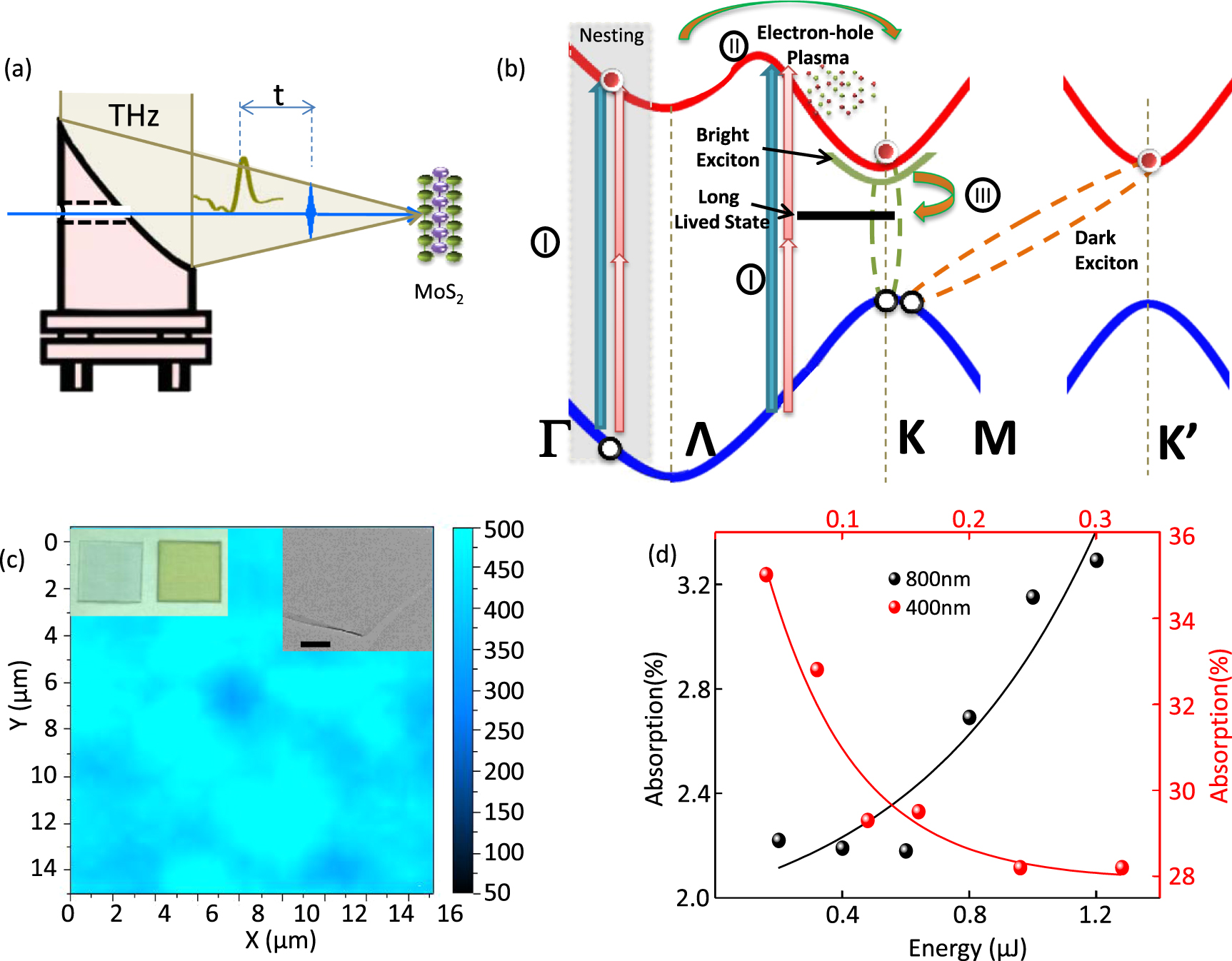 An Ultrafast Terahertz Probe of The Transient Evolution of The Charged ...